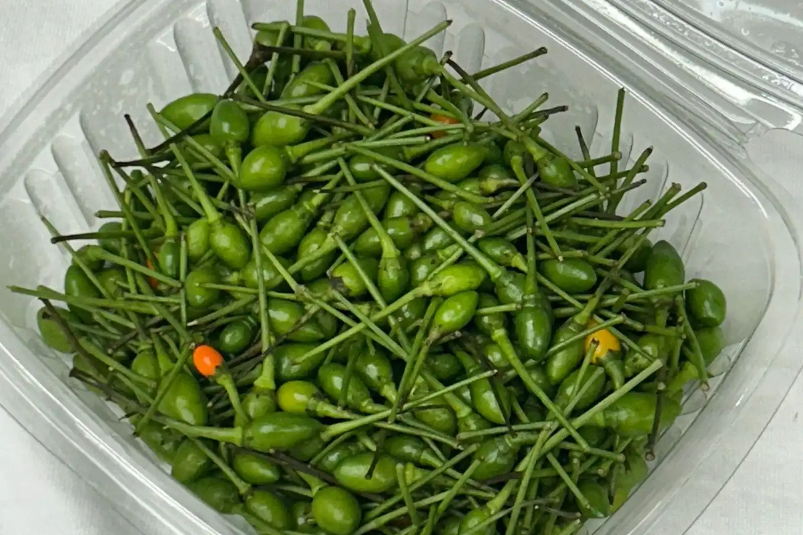 Chiltepe (Chili Chiltepe of Guatemala) – Culinary Guide